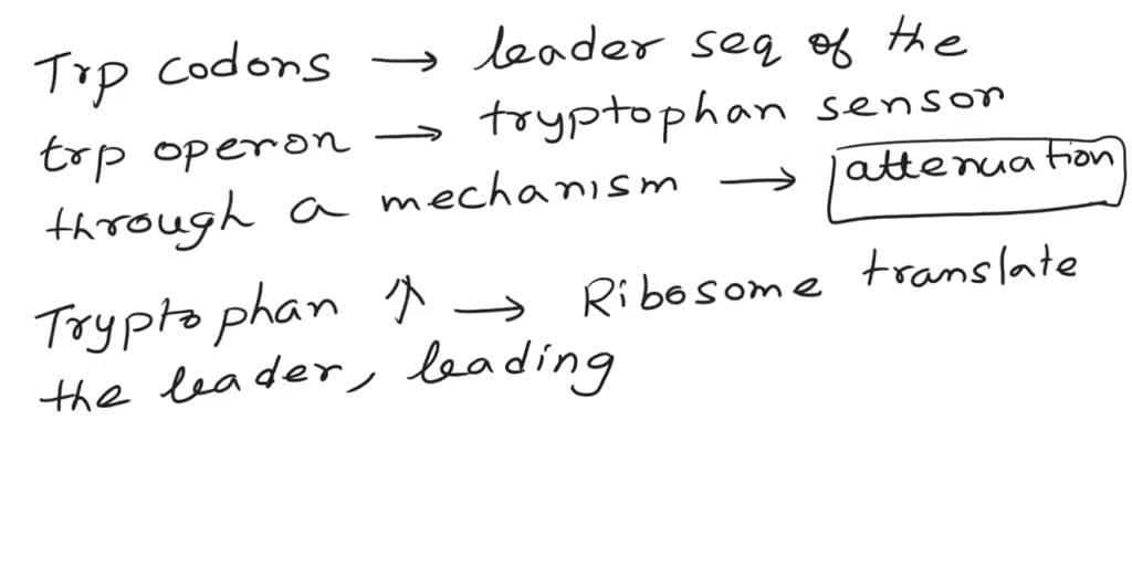 SOLVED: Q2. How do Trp codons in the leader act as a tryptophan sensor ...