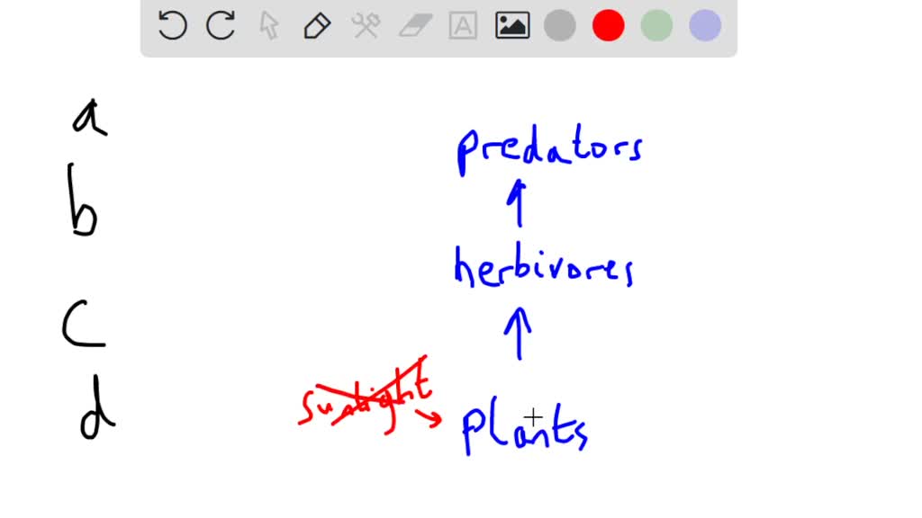 Solved How Would A Decrease In The Available Sunlight Affect The 4194