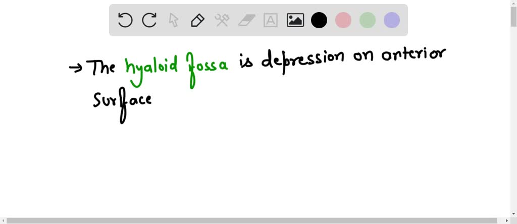 SOLVED: The is a depression on the anterior surface of the vitreous ...