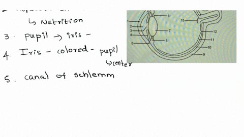 3. Label the internal structures of the...