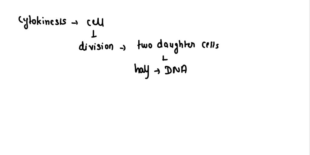 SOLVED: The total weight of DNA in a human cell before replication is ...