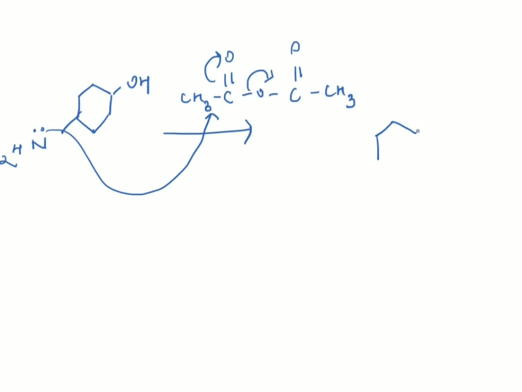 Solved Draw The Structure Of The Product Of The Reaction Of The