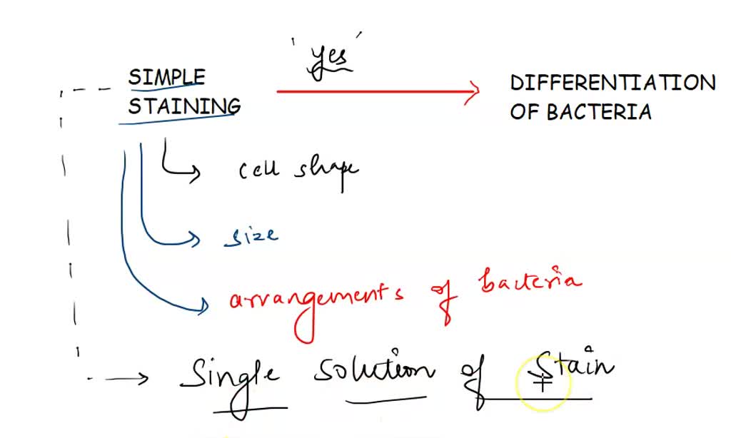 SOLVED: Describe the principle behind the staining technique that is ...