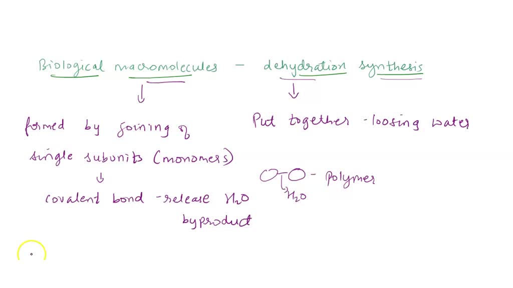 SOLVED: Explain or diagram the formation of biological macromolecules ...