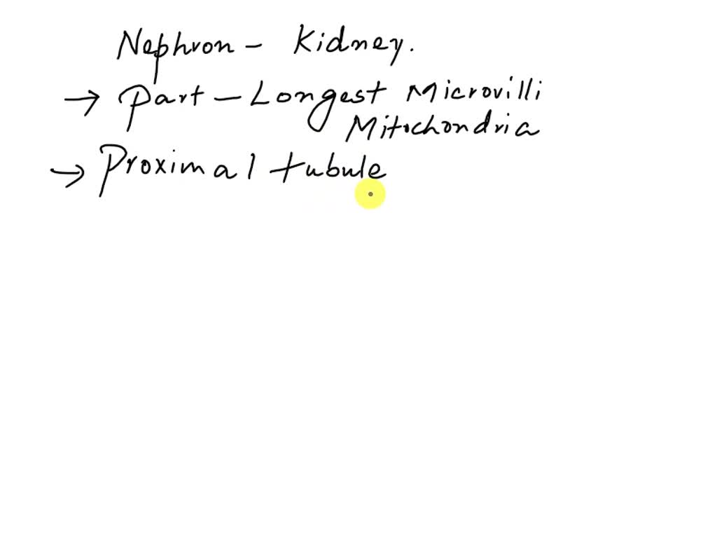 SOLVED: The part of the nephron whose epithelial cells contain the ...