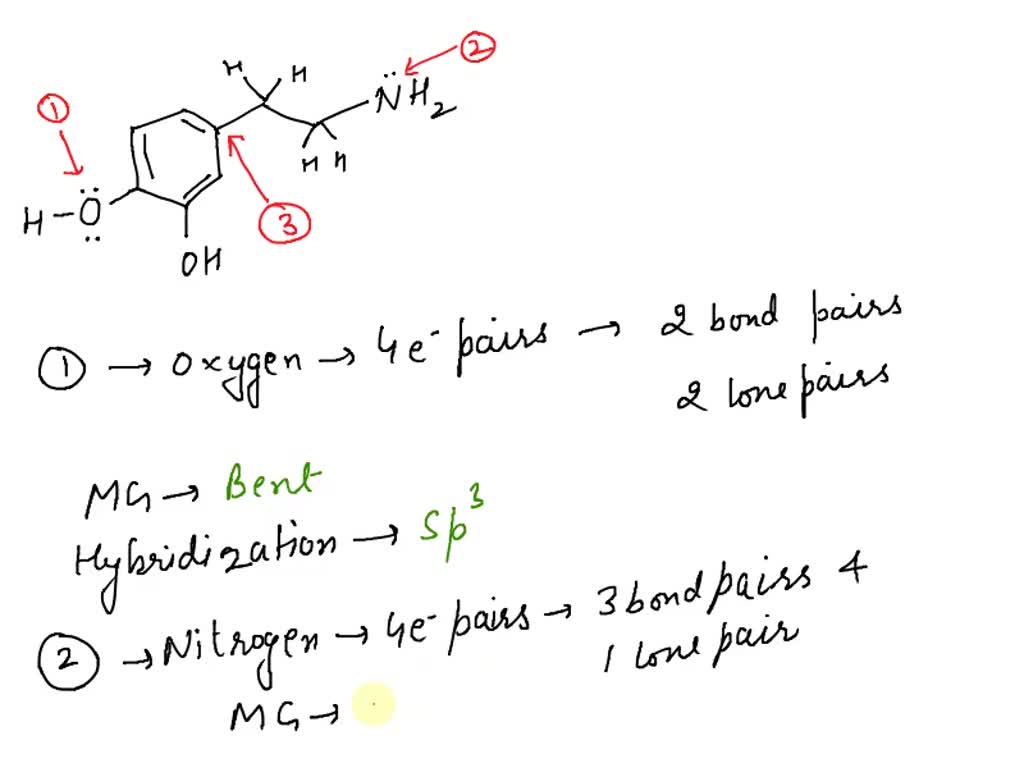 SOLVED: For the following molecules, provide: (1) the correct 3 ...