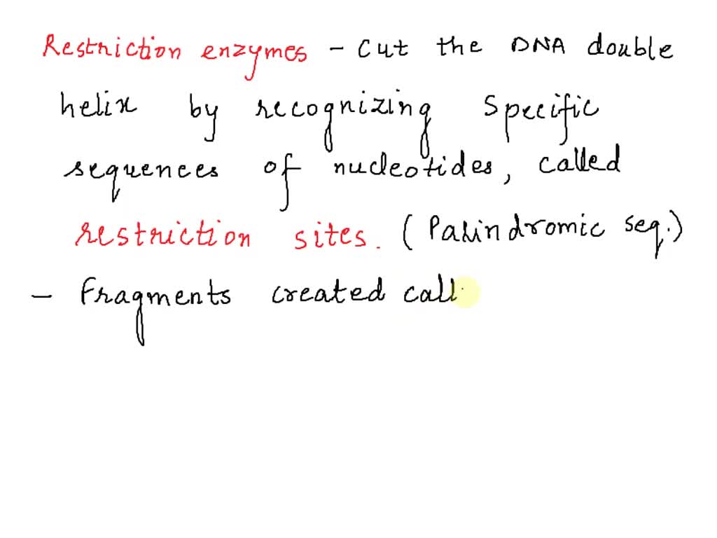 SOLVED: Question 3: Smal and SacI are two different types of ...
