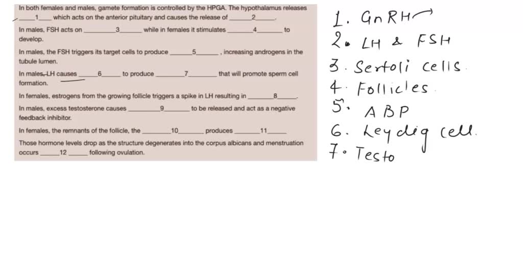 Solved The Text Appears To Be Formatted And Presented Correctly No Errors Were Found