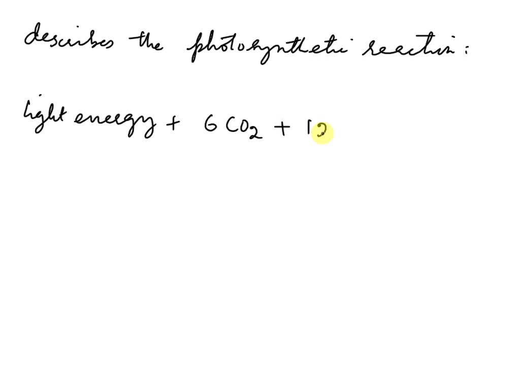 SOLVED: QUESTION 7 Which one of the following best shows the overall ...