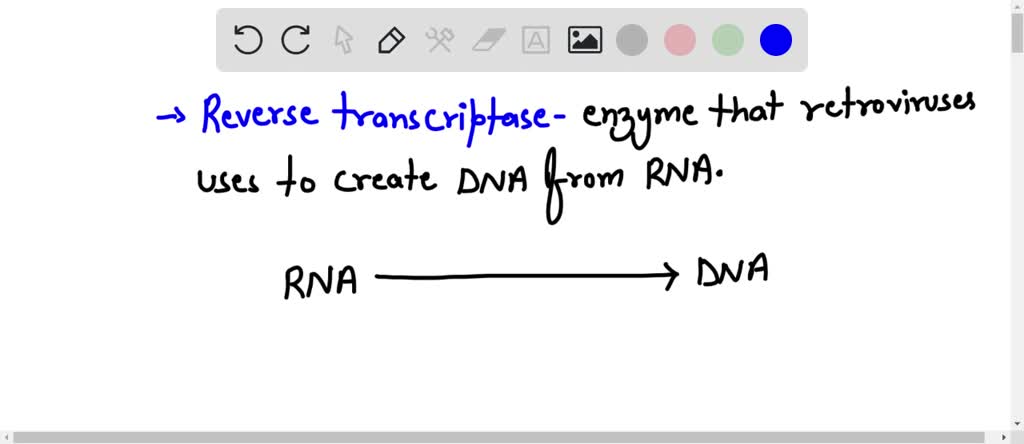 SOLVED: Reverse transcriptase is an enzyme that a retrovirus uses to ...