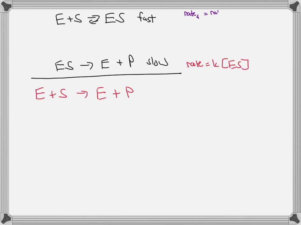 SOLVED: Consider the following mechanism for the enzyme-catalyzed ...
