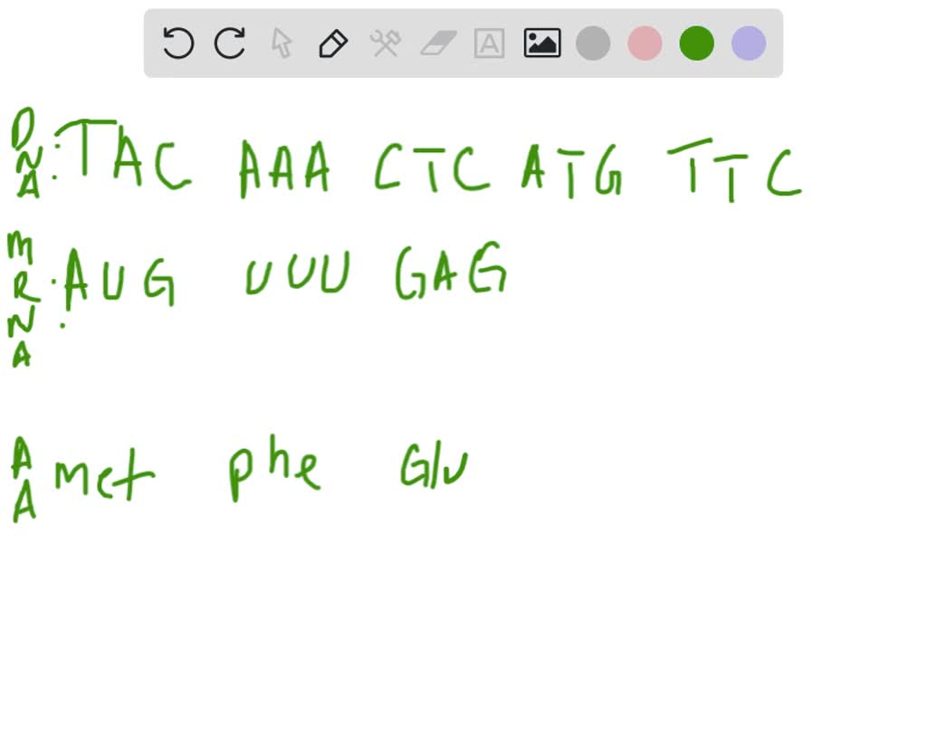 Solved Given The Following Dna Sequence Write The Complementary Rna 7961