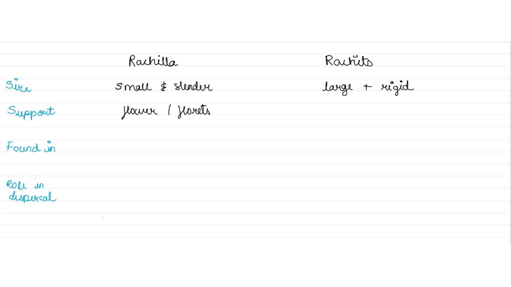 SOLVED: On grasses, what is the difference between the rachis and the ...