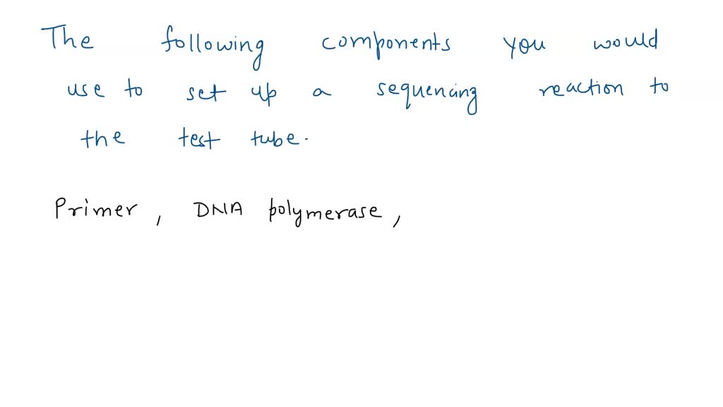 SOLVED: 10) During which growth phase will bacterial growth appear to ...