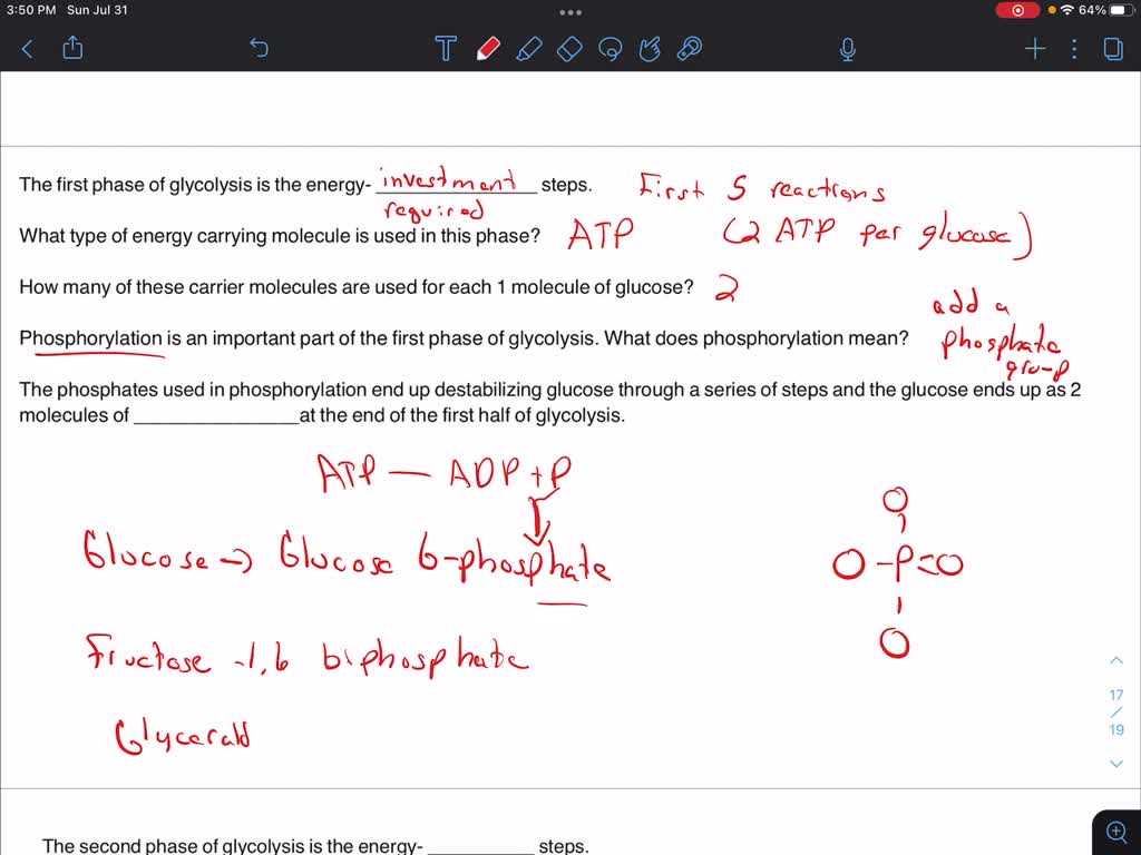 SOLVED: Draw the glycolysis pathway from beginning to end starting with ...