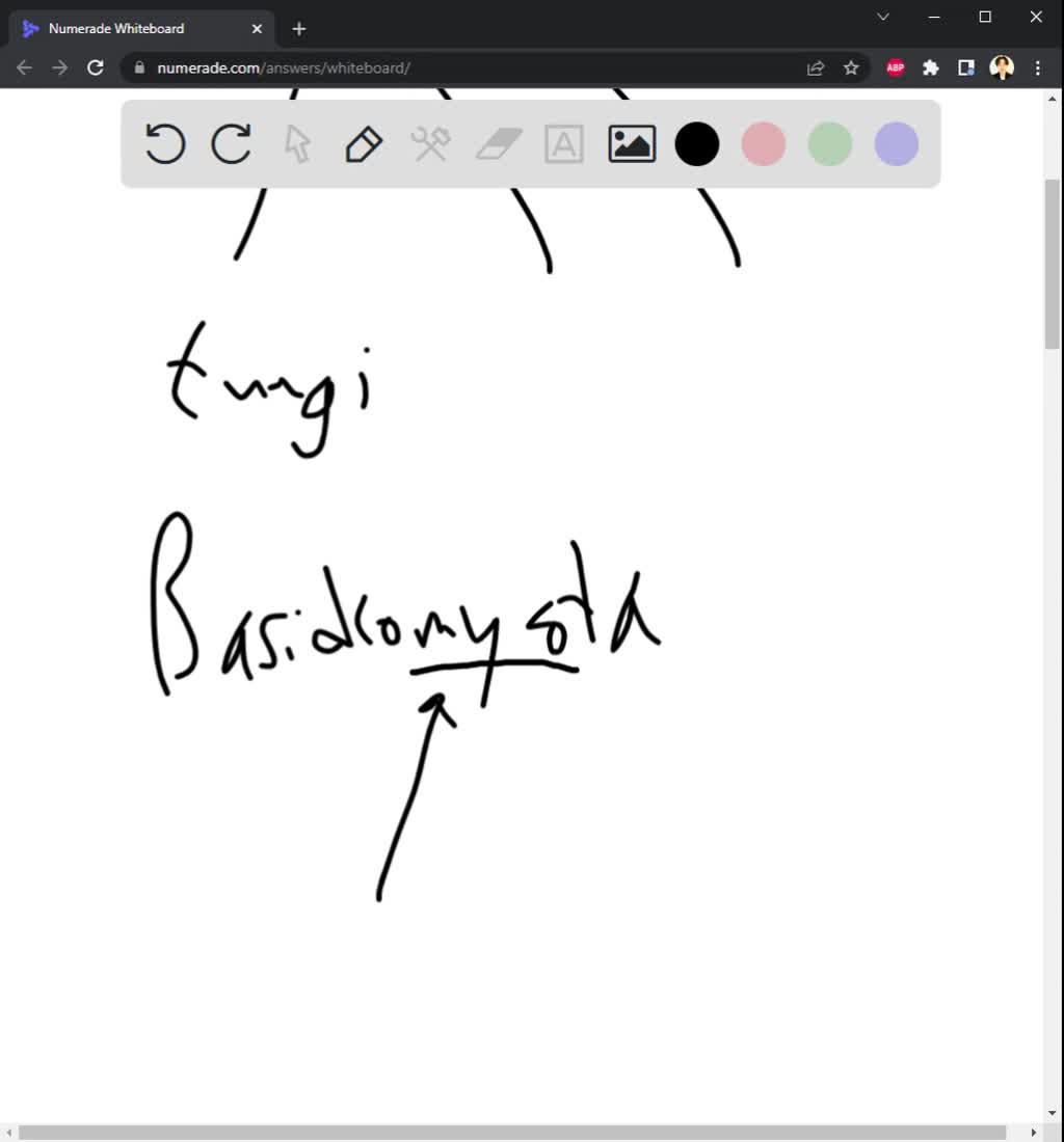 SOLVED: Which protist phylum is considered the common ancestor of all ...