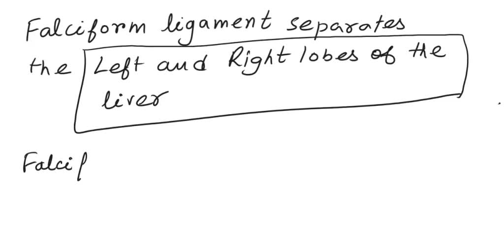 SOLVED: - sigmoid colon - transverse colon - ascending colon - descending colon - QUESTION 12 ...