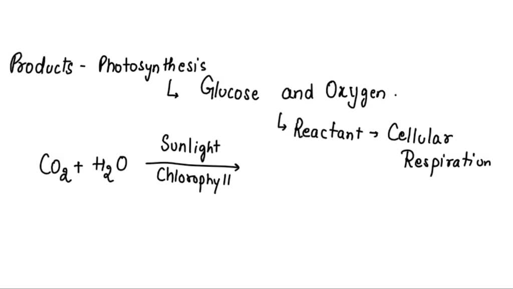 SOLVED: The products of photosynthesis are the... a) Products of ...