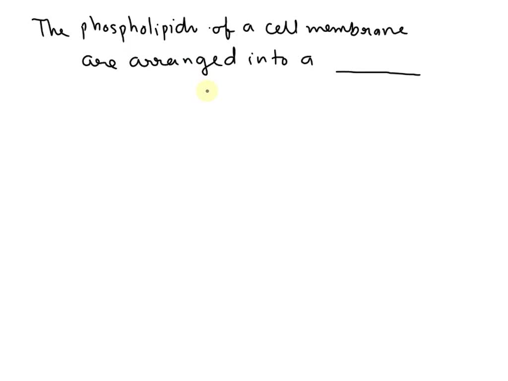 SOLVED: The phospholipid bilayer of the bacterial cell membrane ...