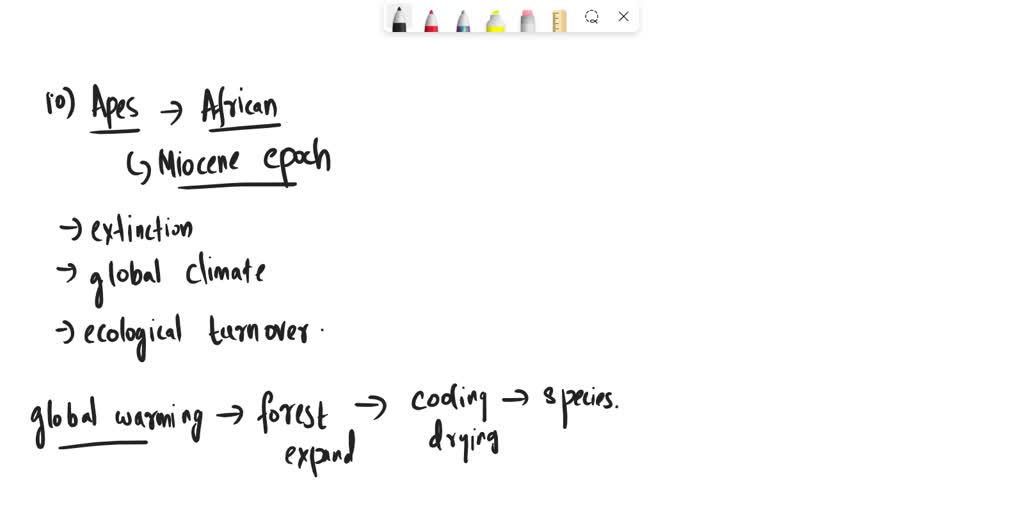 SOLVED: Oligopithecids Question DCcause Why did 1 Question 11 apes ...