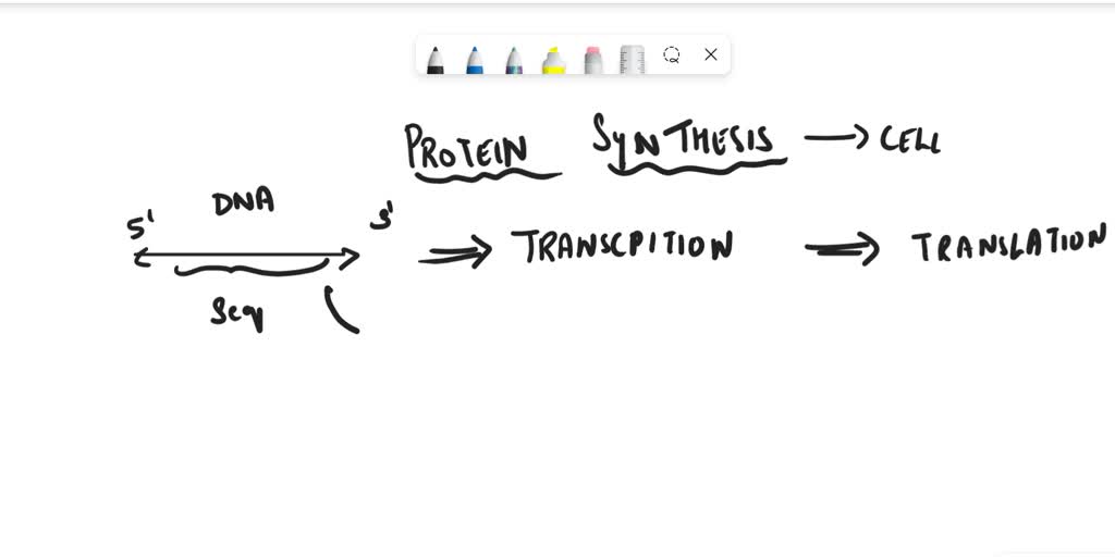SOLVED: Proteins are synthesized based on genetic information carried ...