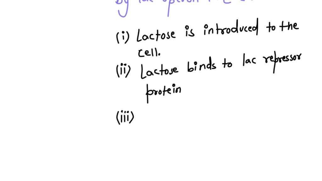SOLVED: A. In prokaryotic cells, how does the lac operon work in a low ...