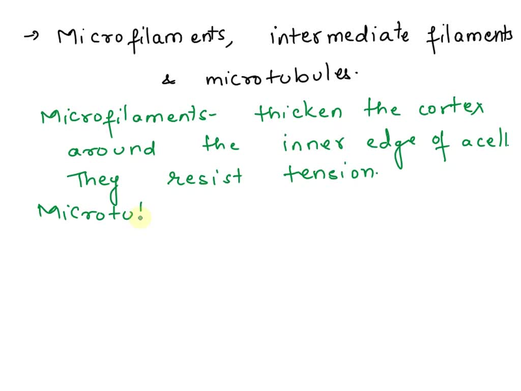 SOLVED: Describe the structure and processes of assembly and disassembly of microfilaments ...