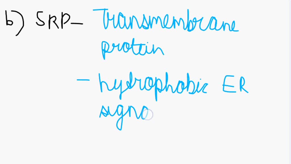 Solved The Function Of The Signal Recognition Particle Srp Is To A