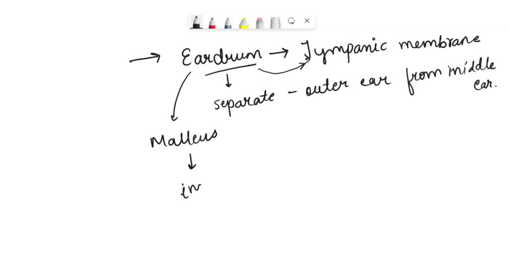 SOLVED: Texts: Equilibrium; The neural pathway is similar to hearing ...