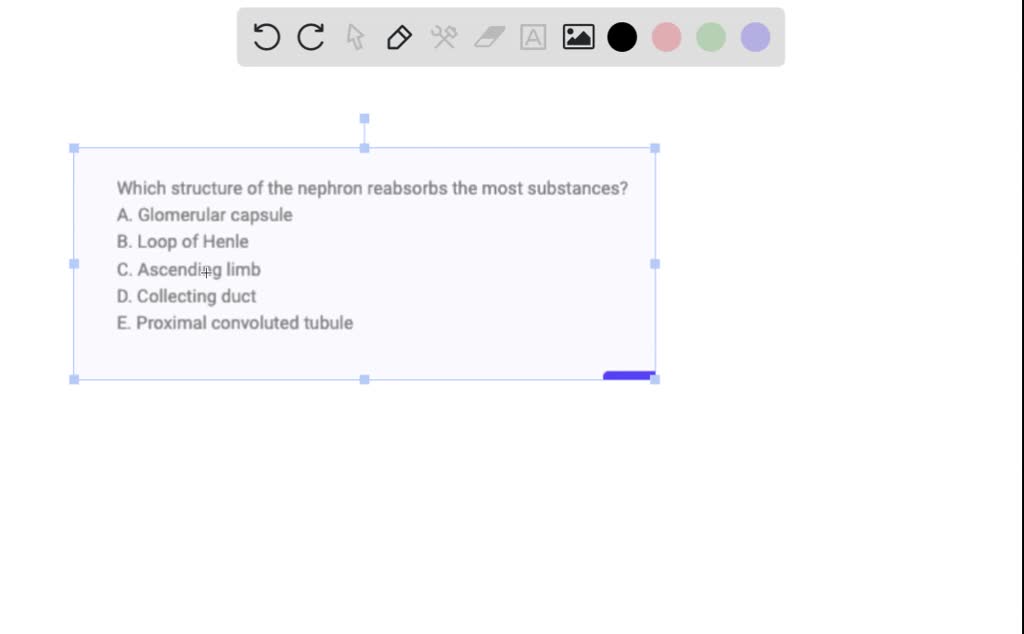 SOLVED: Which structure of the nephron reabsorbs the most substances? A ...