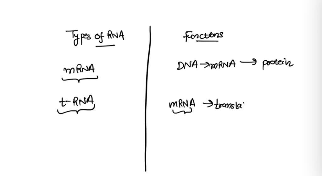Solved The Table Is Not Formatted Correctly And Contains Mathematical Errors