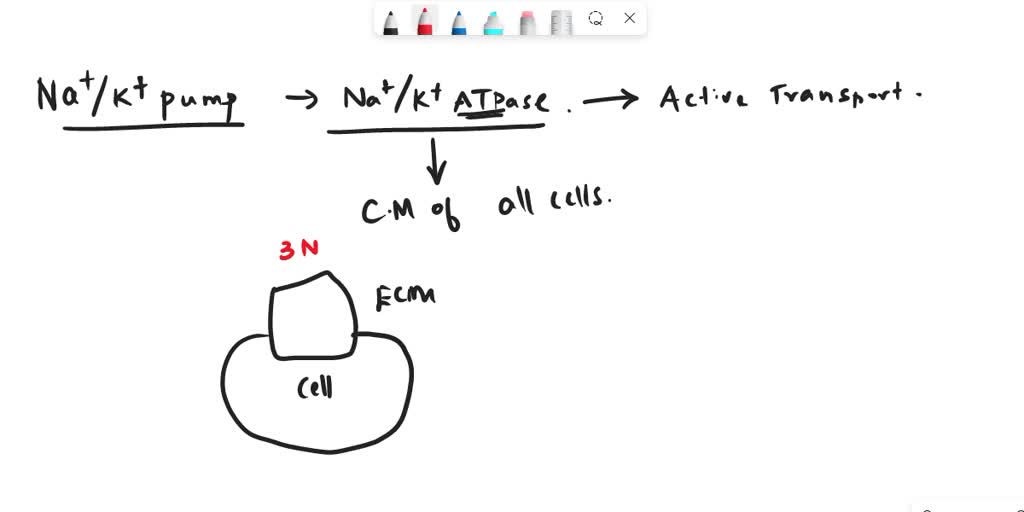 SOLVED: Which of the following is not a function of the Na+-K+ pump? a ...
