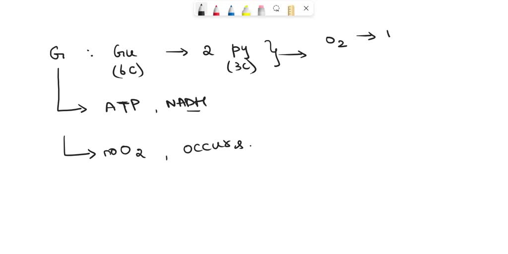SOLVED: What could happen when glucose breakdown in the presence ...