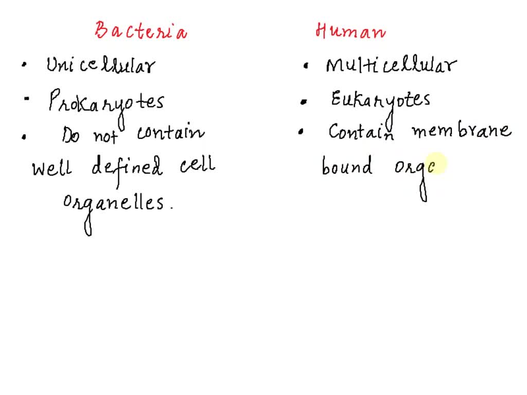 SOLVED: How do the simplest bacteria relate to the most complex animal ...