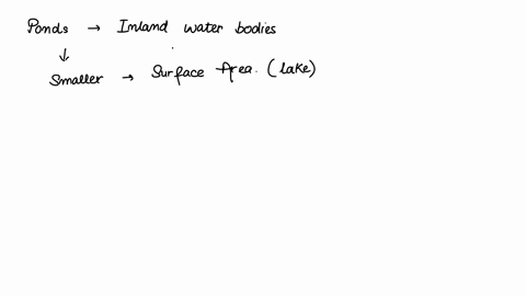 Which freshwater source is a permanent shallow body of water...