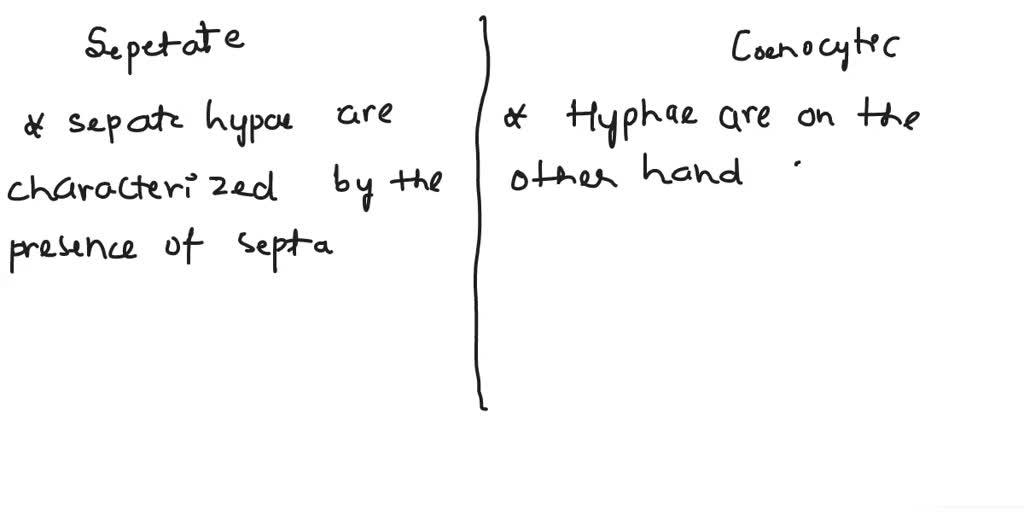 SOLVED: 29) Distinguish between septate and coenocytic hyphae ...