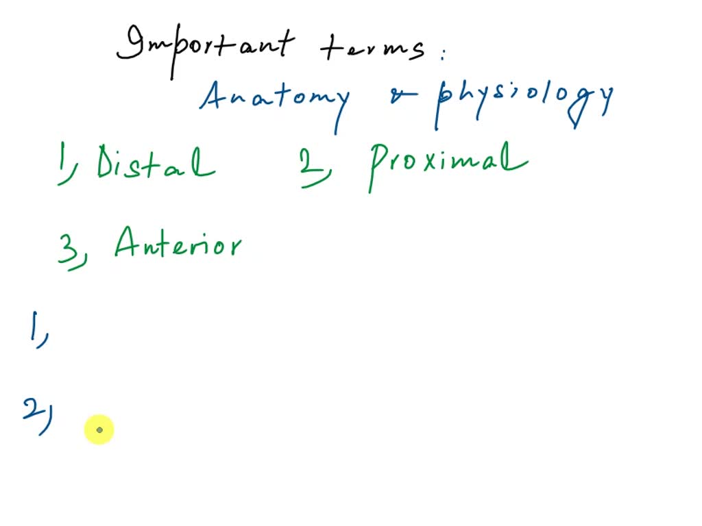 SOLVED: Texts: 1. The most distal region of the upper limb is the ...