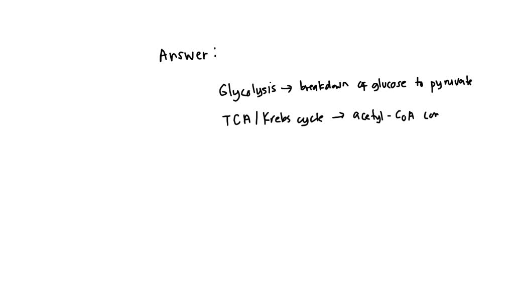 SOLVED: Question number 21 Which is the correct order of pathways in ... SOLVED: Question number 21 Which is the correct order of pathways in ...