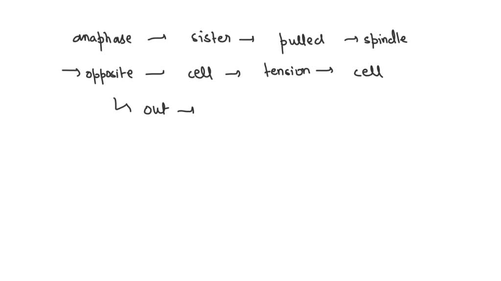 SOLVED: 25.) Which of the following allow for stretching of the cell ...