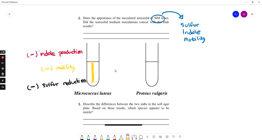 SOLVED: Draw the appearance of the inoculated semisolid SIM tubes. Did ...