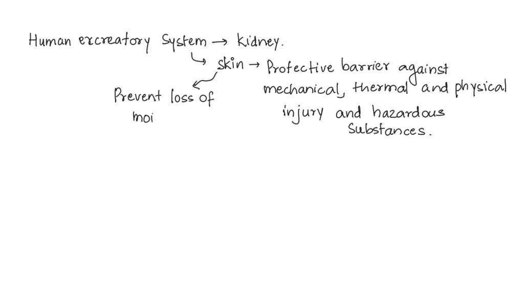 SOLVED: "9. The diagram below represents a magnified cross section of ...
