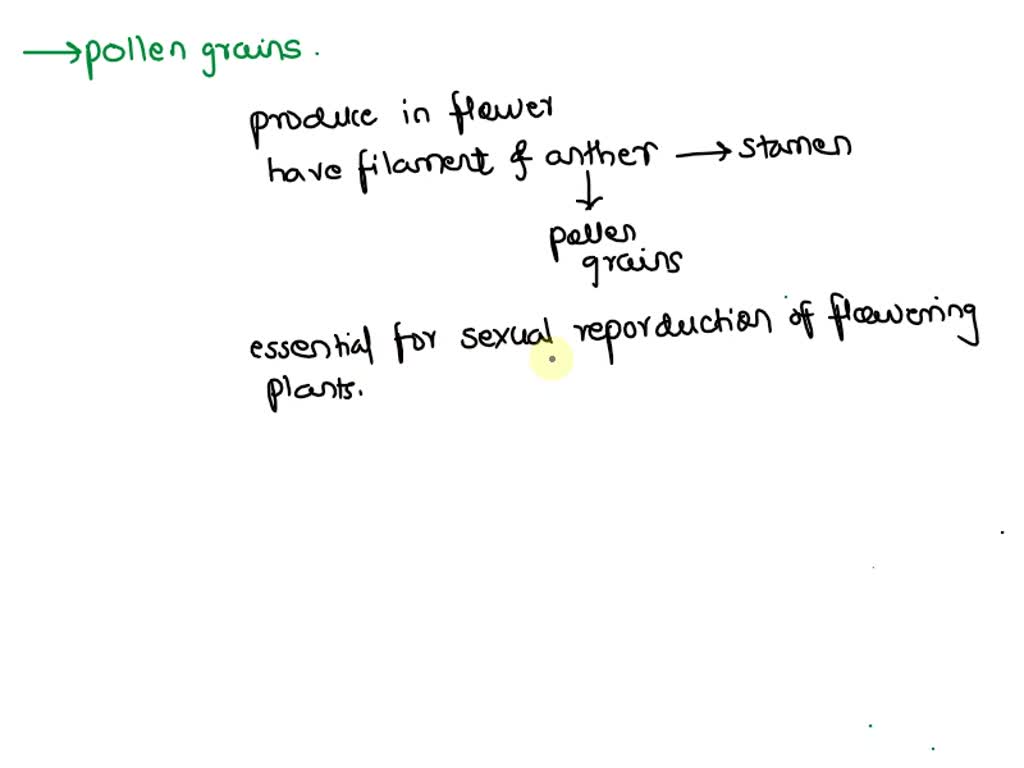 Solved The Sex Organ In Plants That Produces The Male Gamete Is Called The