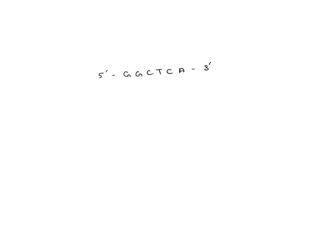 SOLVED: 41. (4pts) Suppose that a portion of double-stranded DNA in the ... SOLVED: 41. (4pts) Suppose that a portion of double-stranded DNA in the ...