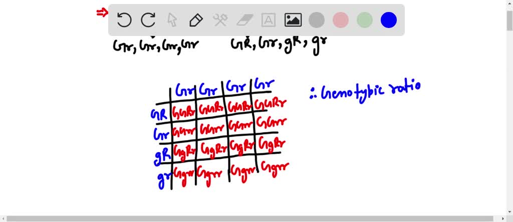 SOLVED: Draw a Punnett Square for the following: GGrr x GgRr Also, is ...