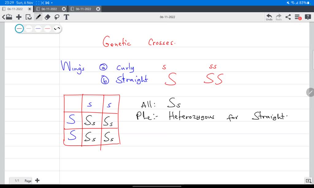 SOLVED: Curly wing is recessive to straight wing in Drosophila. In a ...