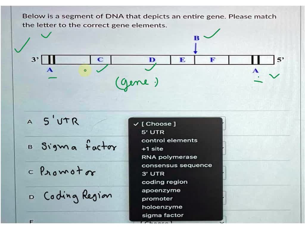 SOLVED: Parts A-F have the same drop-down choices as seen in the picture, so you don't need a ...