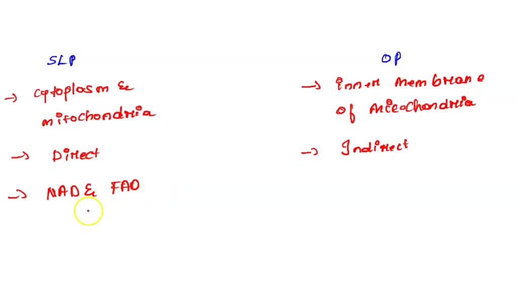 SOLVED:7_ What is the difference between substrate level ...