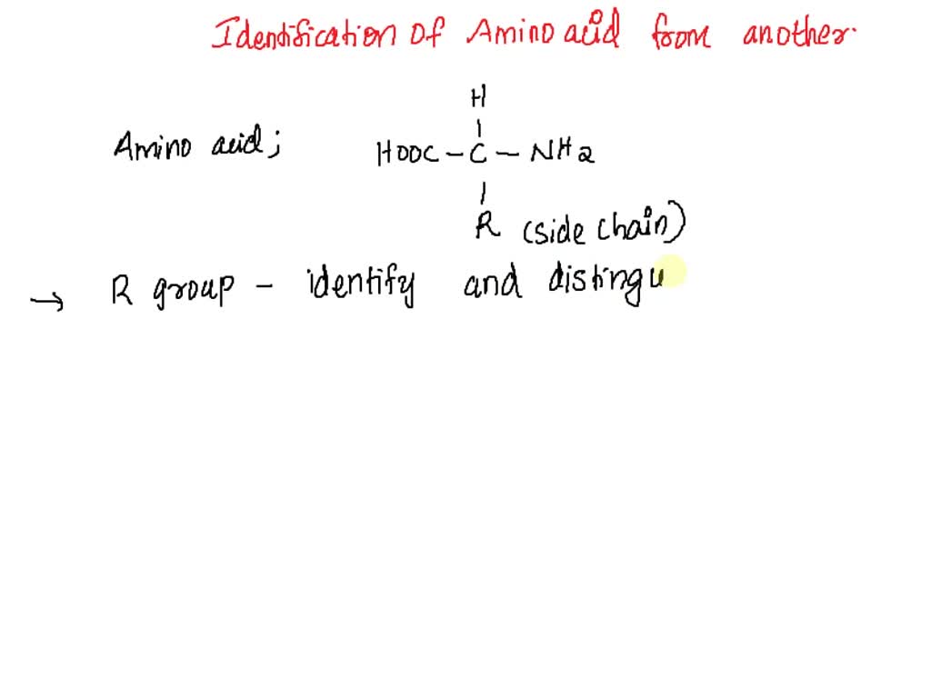 Solved A Functional Group That Is Acidic And Part Of The Amino Acid Backbone