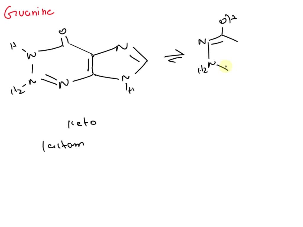 SOLVED: Draw the structures of two tautomeric forms of guanine, one a ...