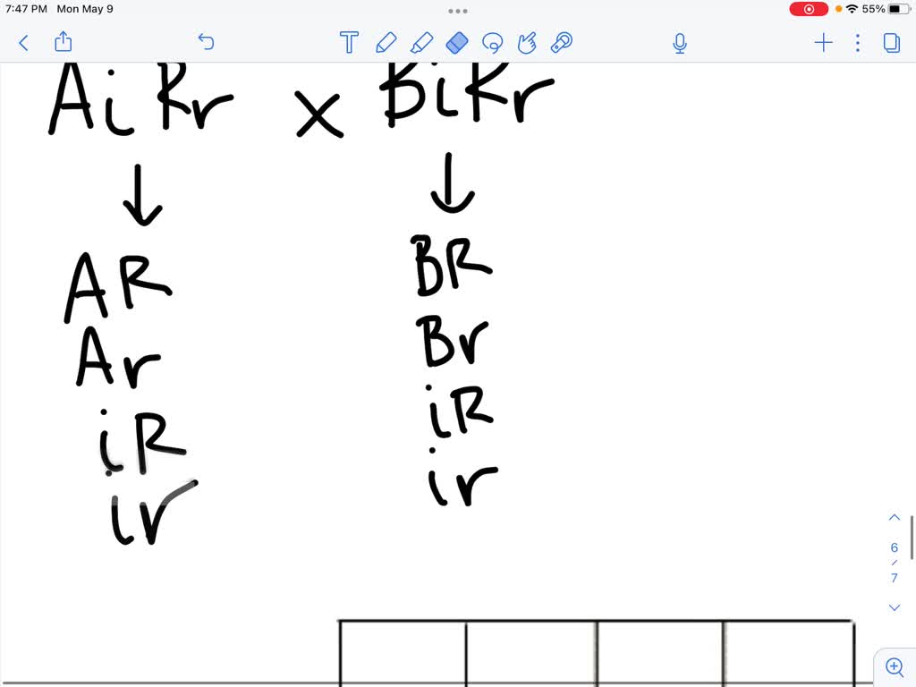 SOLVED: Draw Punnett Squares to demonstrate genotypes ( any ...
